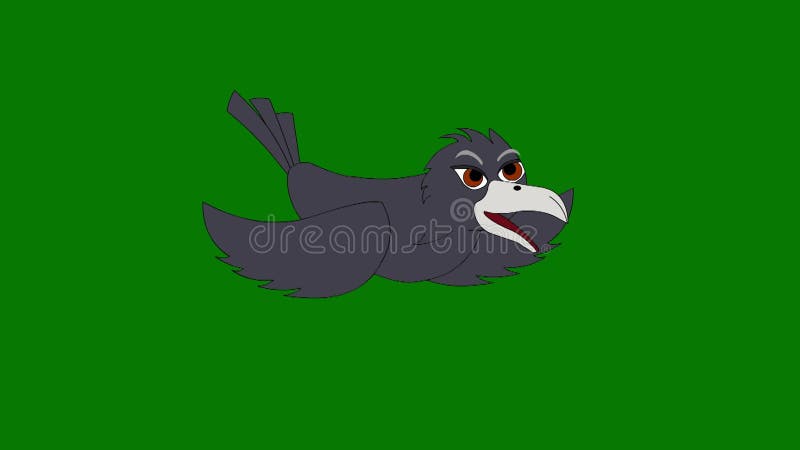 Crow Soaring through the Sky. Stock Footage - Video of animals ...