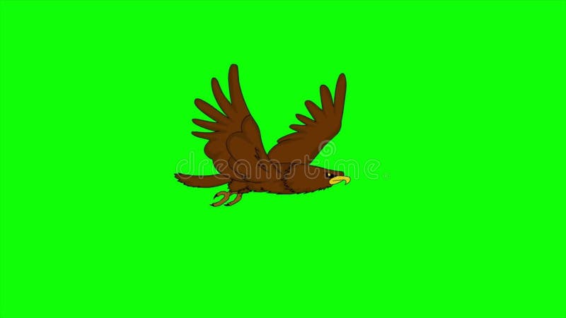 Eagle Flying on Green Screen Stock Footage - Video of flying, bird ...