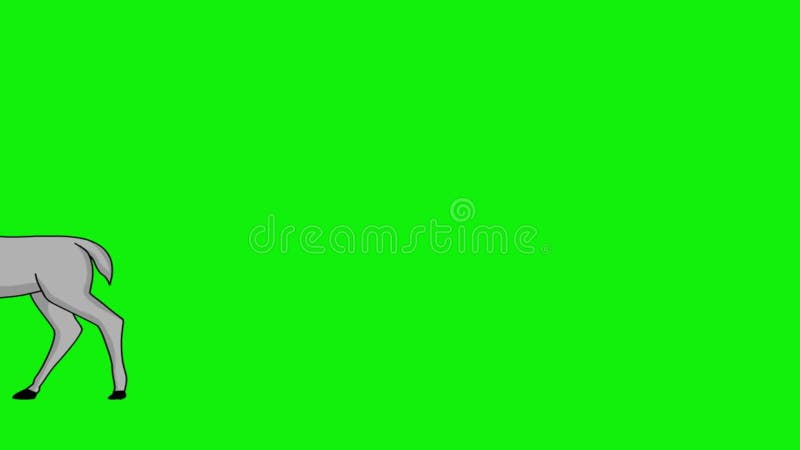 2D Animation of a Deer Walking on a Green Screen Background Stock Video ...