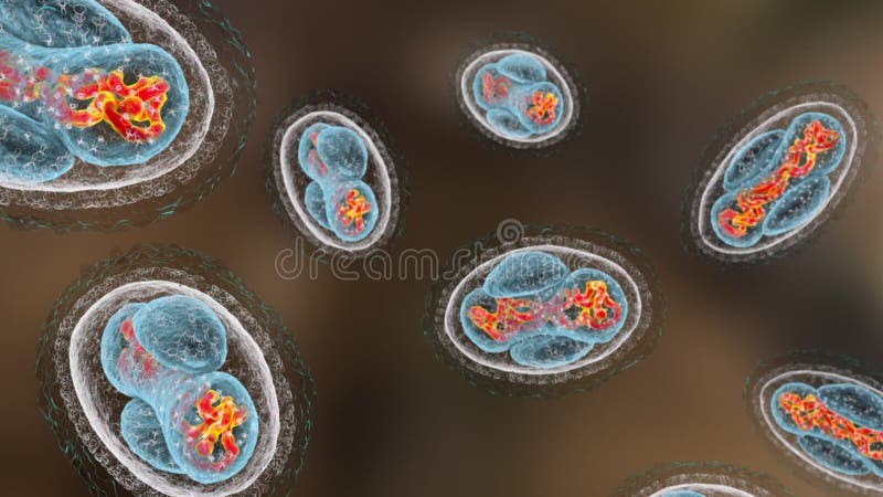 3D Animation Featuring Variola Viruses, the Causative Agent of Smallpox ...
