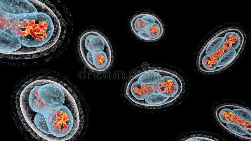 3D Animation Featuring Variola Viruses, the Causative Agent of Smallpox ...