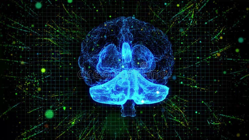 Animation Design of Human Brain Receiving Input from Both Logical and ...