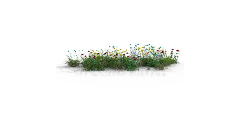 3D Animation of Grasses and Flowers Growing. Stock Video - Video of ...
