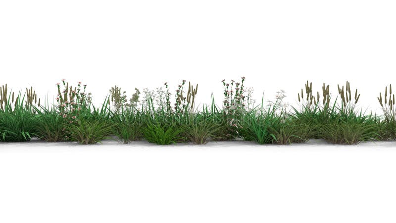 3D Animation of Grasses and Flowers Growing. Stock Video - Video of ...