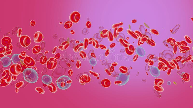 3d Animation of the Lateral Movement of Blood Components. Stock Footage ...