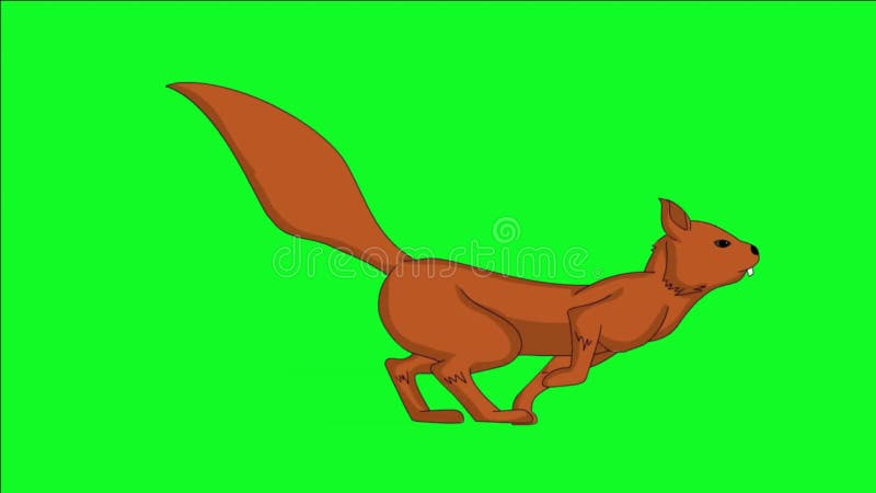 2D Animation of a Light Brown Squirrel Running on a Green Screen ...