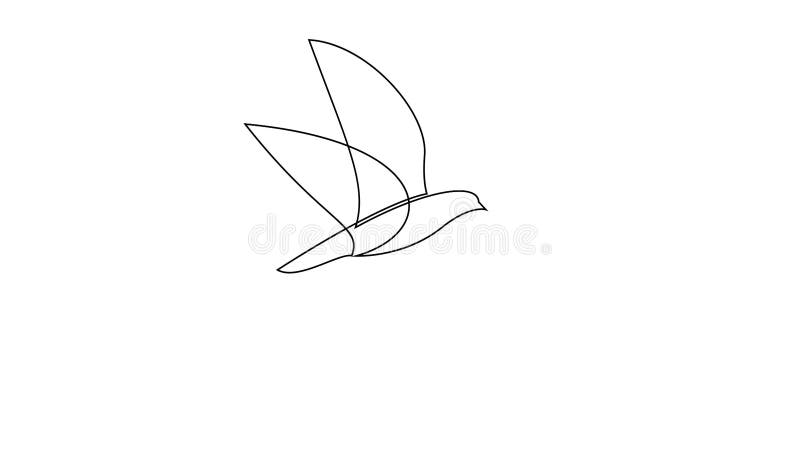 2d Animation Motion Graphics Continuous Line Drawing of Bird Flying ...