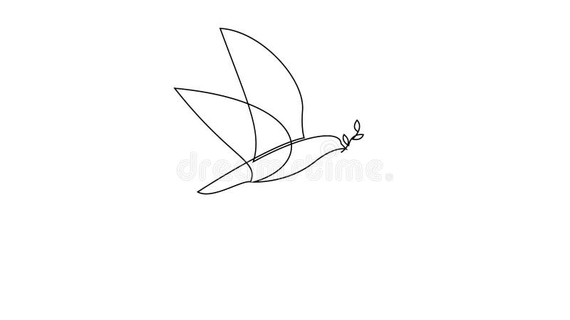 2d Animation Motion Graphics Continuous Line Drawing of Dove with Olive ...