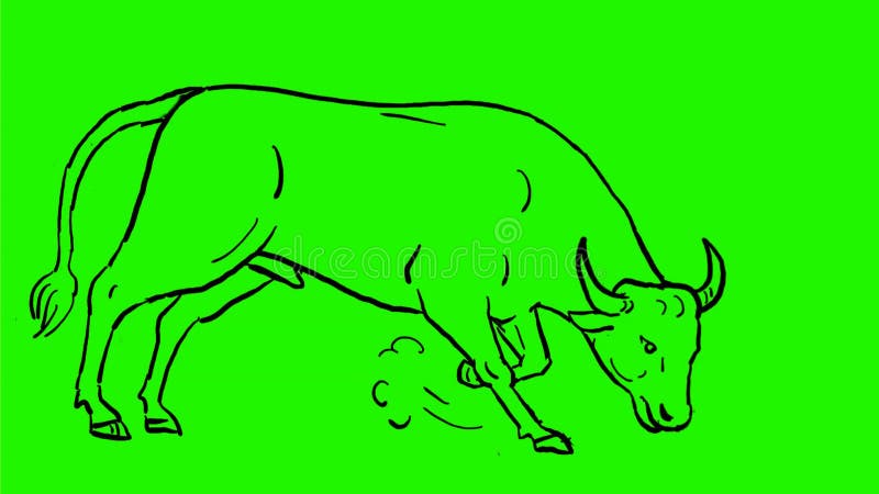 Texas Longhorn Bull Snorting Drawing 2D Animation Stock Video - Video ...