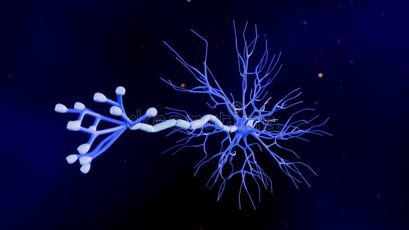 3d Animation of Multipolar Neurons. Stock Video - Video of internal ...