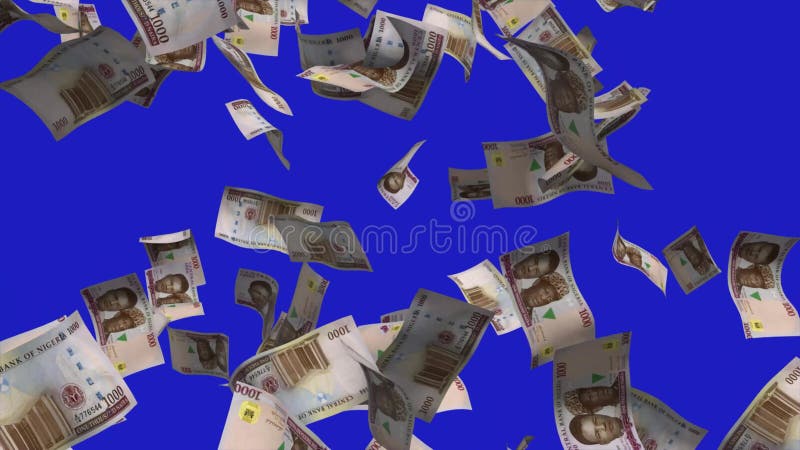 3D Animation of Nigerian Naira Notes Falling on Blue Screen Stock ...