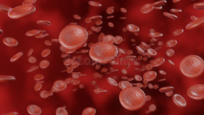 3D Animation of Red Blood Cells Moving in the Bloodstream. 3D Rendering ...