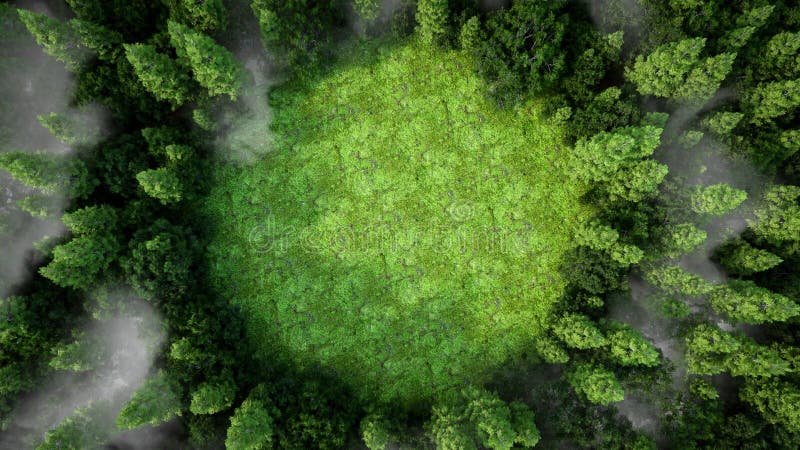 3D Animation Render of a Lush Forest with a Circular Green Clearing ...