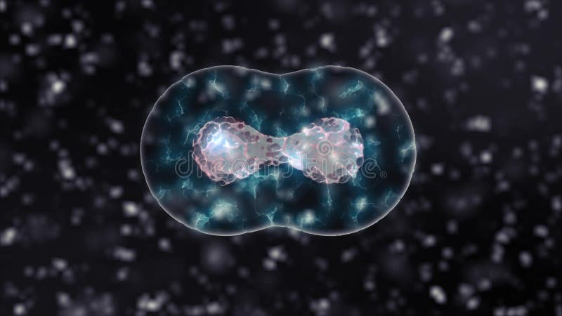 3D Animation Rendering of a Coronavirus. Pathogen Outbreak of Bacteria ...