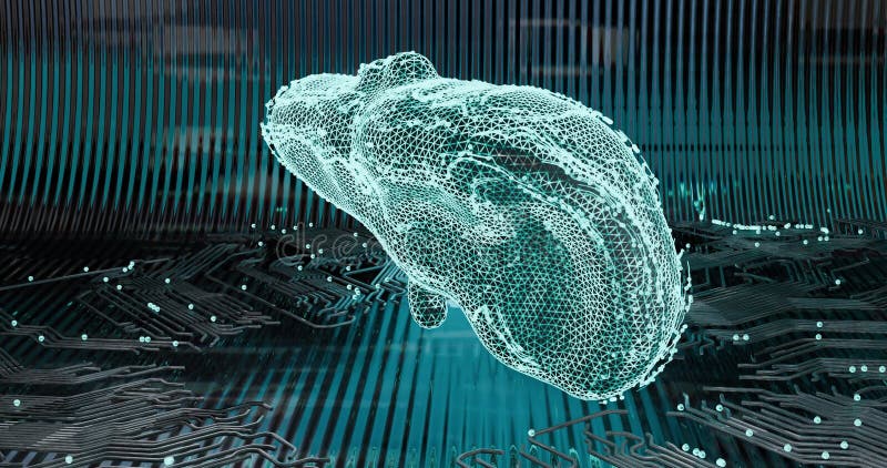 3D Animation Rotating Abstract Liver with Neon Illumination with ...