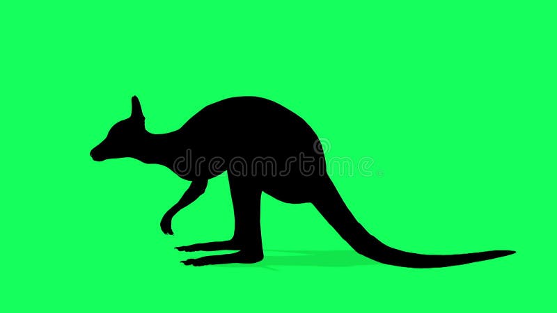 Kangaroo Jumpcycle Green Screen Front Loop 3D Rendering Animation Stock ...
