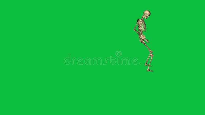 3d Animation of Skeleton Fall Stock Video - Video of render, halloween ...