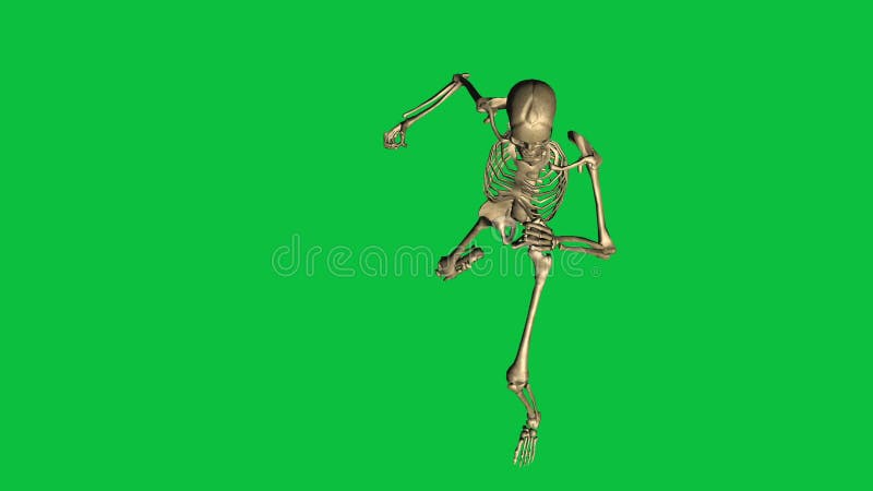 3d Animation of Skeleton Boxing Stock Video - Video of determination ...