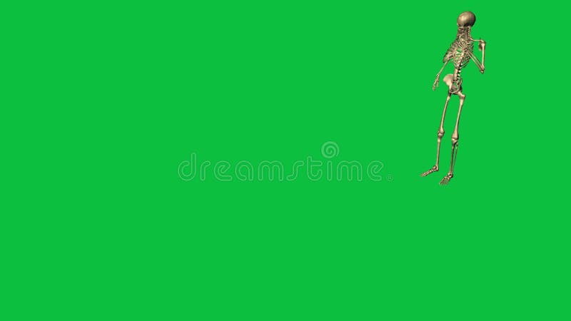 Skeleton Fall - Separate on Green Screen Stock Footage - Video of ...