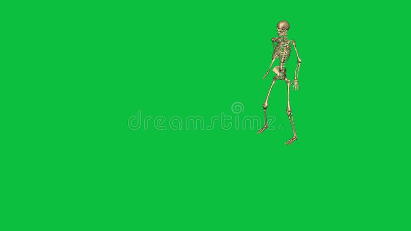Skeleton Jump Horizontal - Separate on Green Screen Stock Video - Video ...