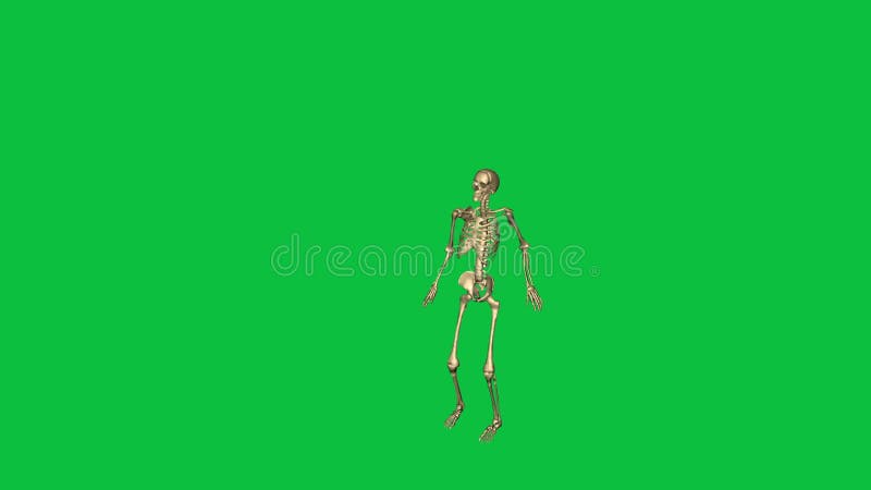 Skeleton Jump Leap - Separate on Green Screen Stock Footage - Video of ...
