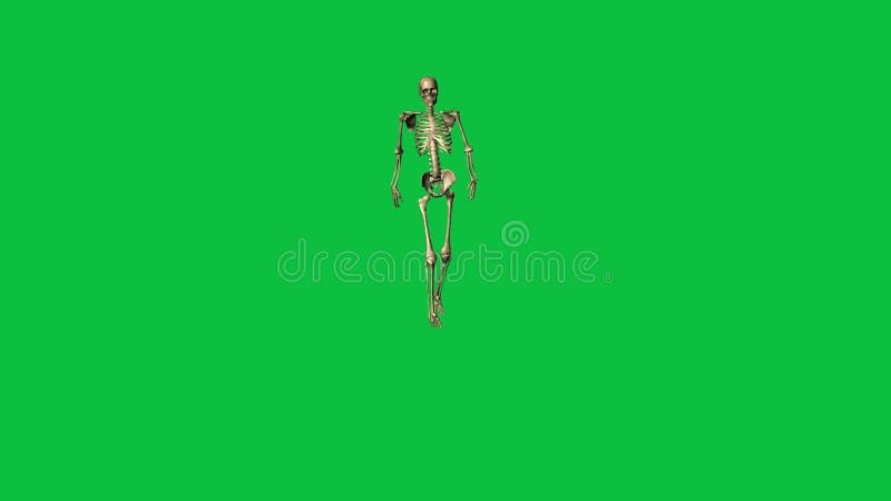 Animation of Skeleton Running Walking Stock Footage - Video of blue ...