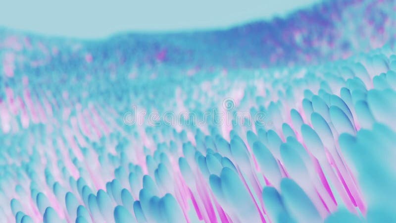3D Animation of a Surface Made of a Large Number of Pink Feather ...