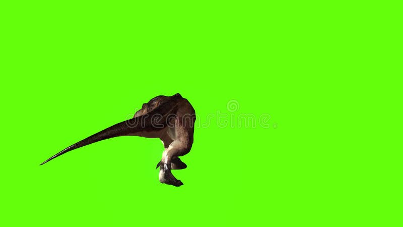 3D Animation T-rex Dinosaur Walk Bite Left on Green Screen Stock ...