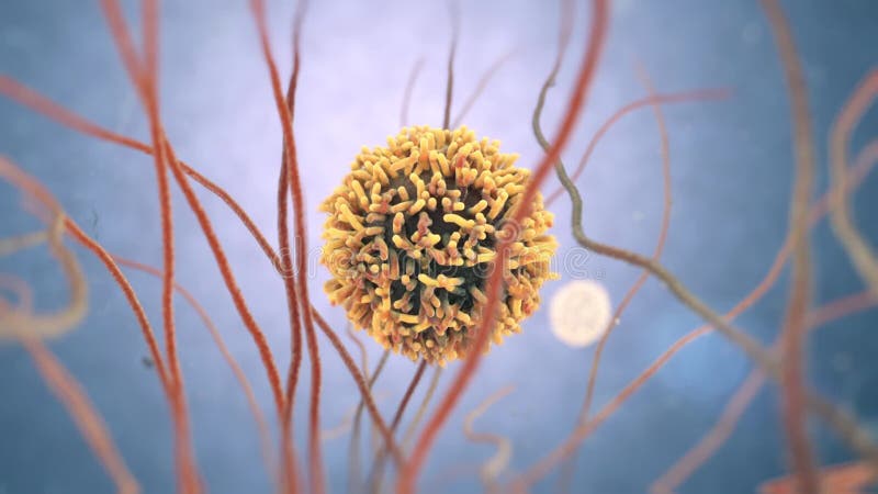 3d Animation of White Blood Cells Stock Footage - Video of biology ...