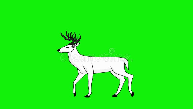 2D Animation of a White Deer Walking on a Green Screen Background Stock ...