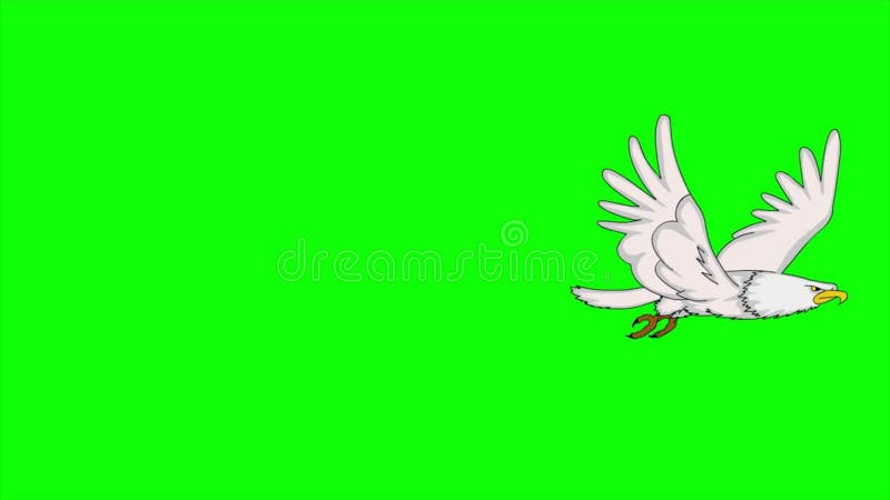 2d Animation of a White Eagle Flying Across a Green Screen Background ...