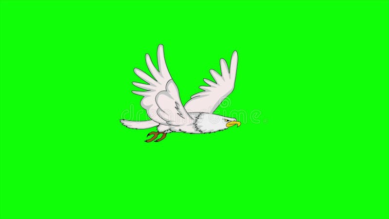 2d Animation of a White Eagle Flying on a Green Screen Background Stock ...