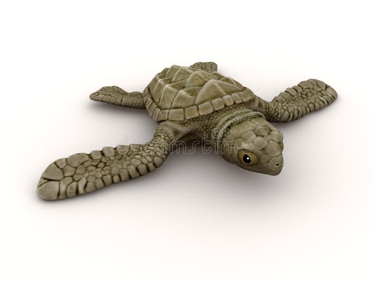 Turtle Flippers Stock Illustrations – 827 Turtle Flippers Stock ...