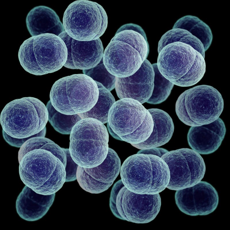 3d Bacteria Staphylococcus stock illustration. Illustration of ...