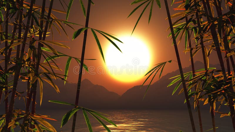 3D Bamboo Against a Sunset Landscape Stock Illustration - Illustration ...