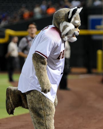 Bobcat Mascot Stock Photos - Free & Royalty-Free Stock Photos from ...