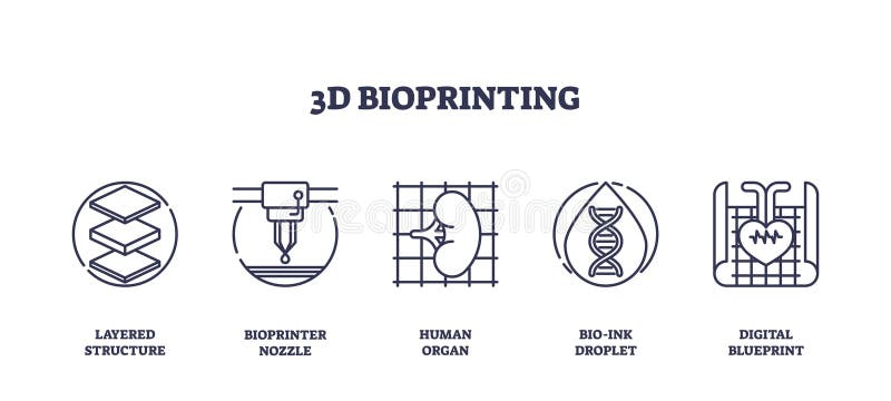 3D Bioprinting Involves Layered Structures, Bioprinter Nozzles, and ...