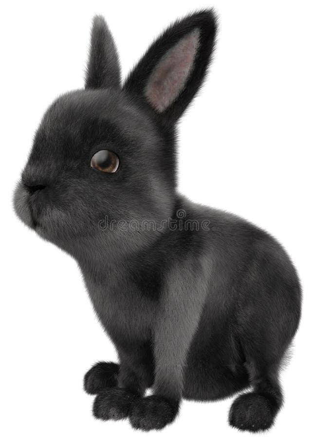3D Black bunny stock photo. Image of chinese, white - 256777792