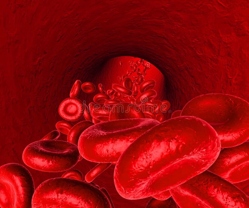3d Blood Cells Flowing in Vein Stock Illustration - Illustration of ...