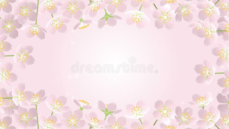3D Blooming Cherry Blossoms Animation Round Frame Stock Video - Video ...