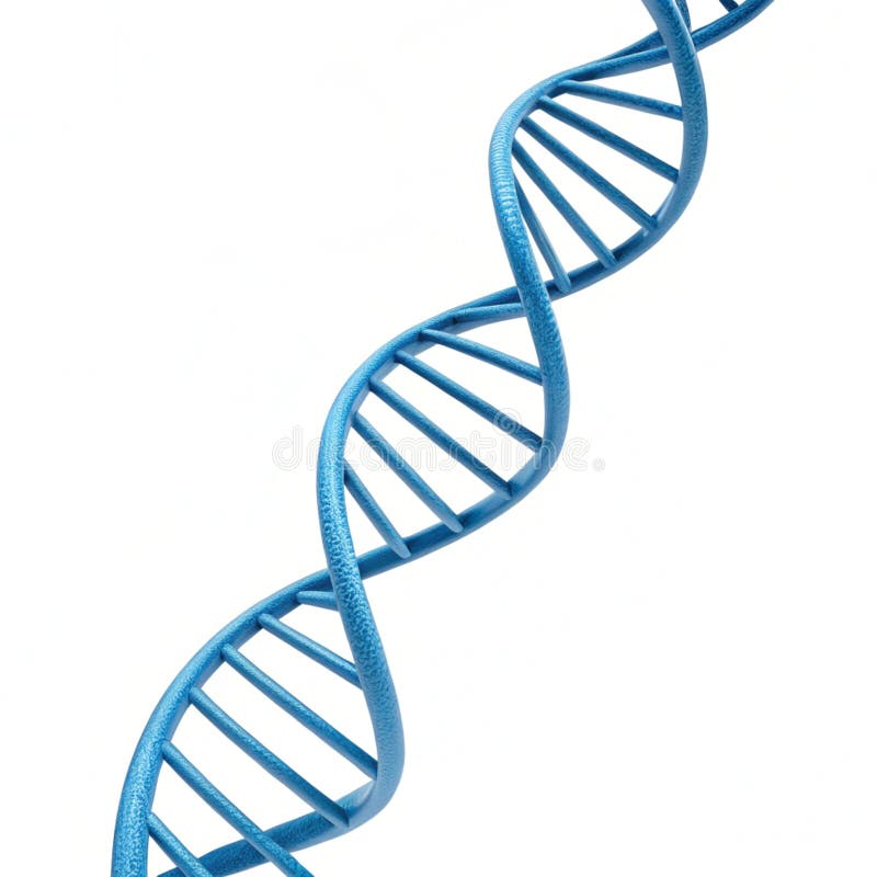 Helixstructure Stock Illustrations – 18 Helixstructure Stock ...