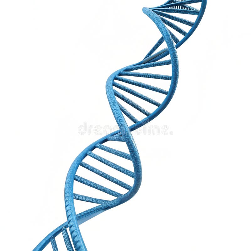 Helixstructure Stock Illustrations – 8 Helixstructure Stock ...