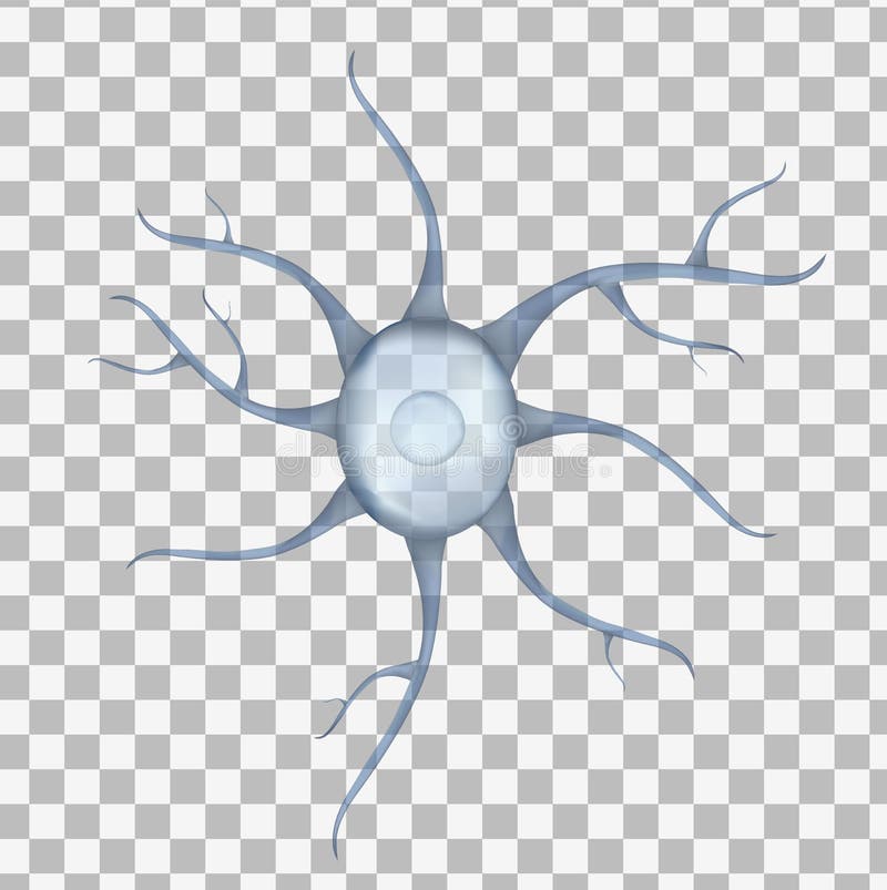 Neuron Transparent Icon. Neuron Symbol Design from Human Body Pa Stock ...