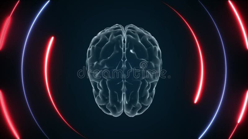 3d Brain Animation and Neon Effects, Creative Animation. Infinite ...