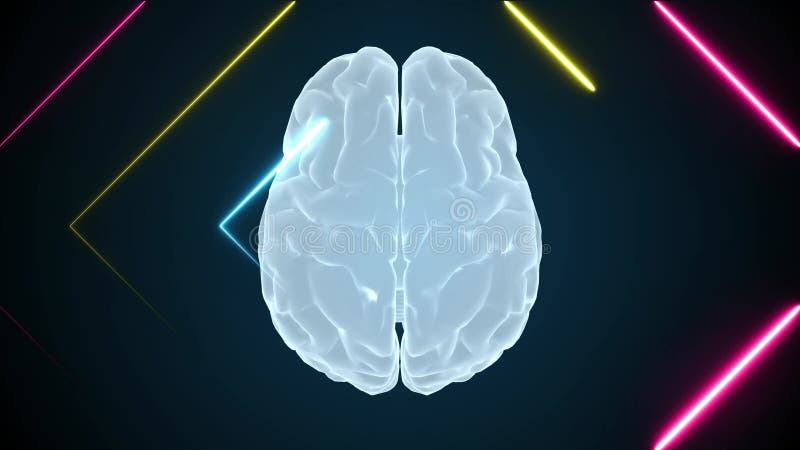 3d Brain Animation and Neon Effects, Creative Animation. Infinite ...