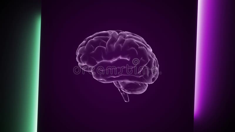 3d Brain Animation and Neon Effects, Creative Animation. Infinite ...