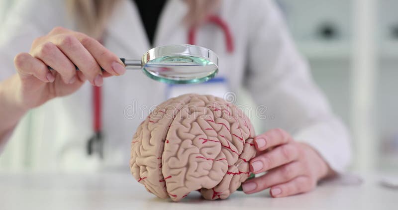 3D Brain Model and Artificial Intelligence Stock Video - Video of ...