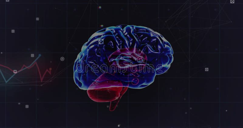 3D Brain Model Glowing Red and Blue Floating Above Dark Grid, with Mesh ...