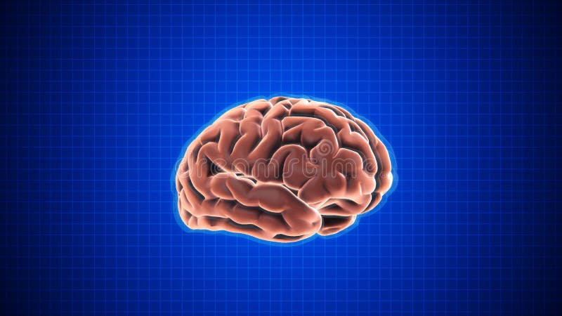 Animation of Rotating Brain with Grid on Dark Blue Background Stock ...
