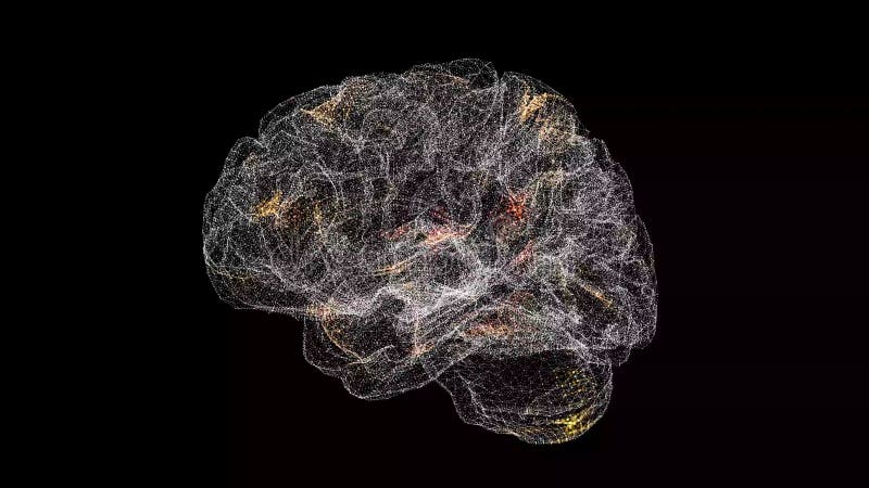 Science Anatomy of Human Blood Vessels Stock Footage - Video of ...